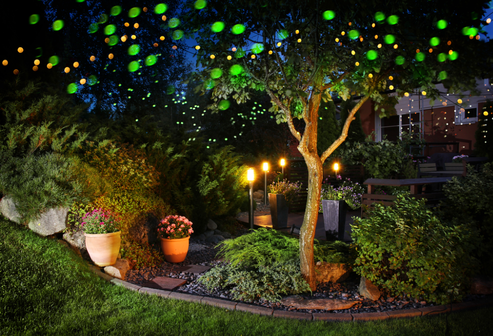 Outdoor Winter Lights - Backyard Pursuits